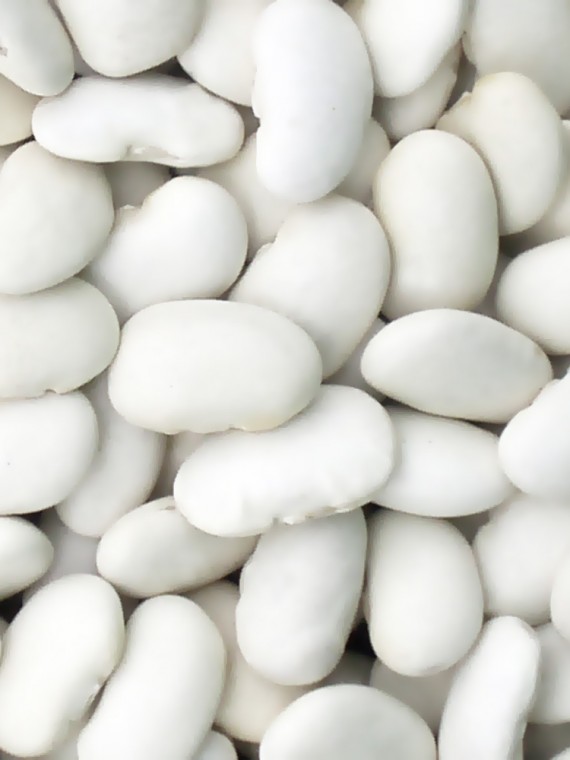 Judiones de la Granja Archivos - ponche segoviano